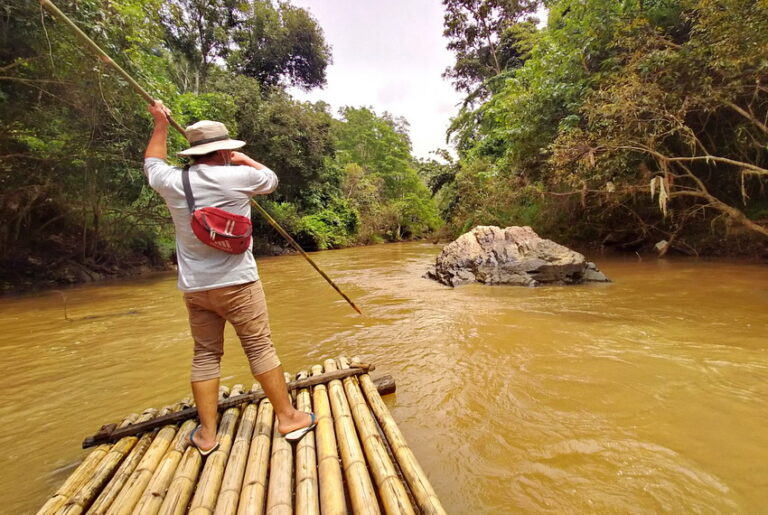 1 day Mae Taeng Elephant Park and Clinic - Yes, Chiang Mai